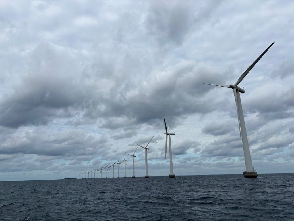 Denmark: Lessons From the World's Climate Action Leader